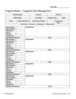 Case Management Progress Note Template Creative Design Templates