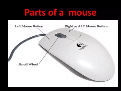 Basics Of The Computer System Part PPT Desktops Computing