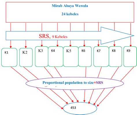 Shows Diagrammatic Presentation Of Sampling Procedure Download