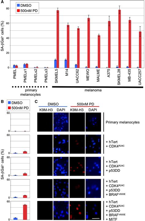 A Systematic Screen For Cdk4 6 Substrates Links Foxm1 Phosphorylation To Senescence Suppression