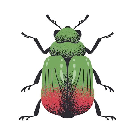 Premium Vector Hand Drawn Leaf Beetle Green Striped Leaf Bug Insect