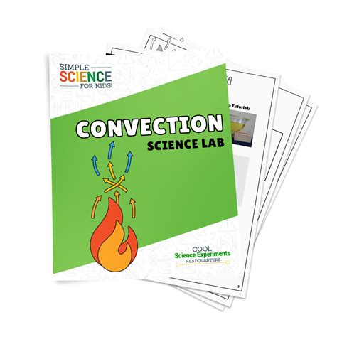 Convection Science Experiment How Heat Moves Through Liquid