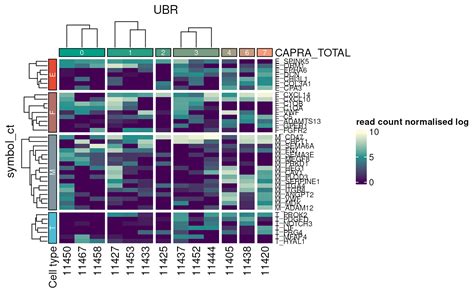 Retrieve Heatmap Data And Dendrograms As Plotted — Get Heatmap Data • Tidyheatmap