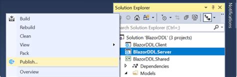 C Default Blazor PWA Project Cannot Be Host Into IIS Stack Overflow