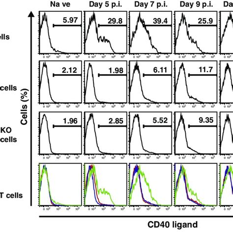 Cd40l Expression On Cd T Cells And Cd4 T Cells In P Berghei