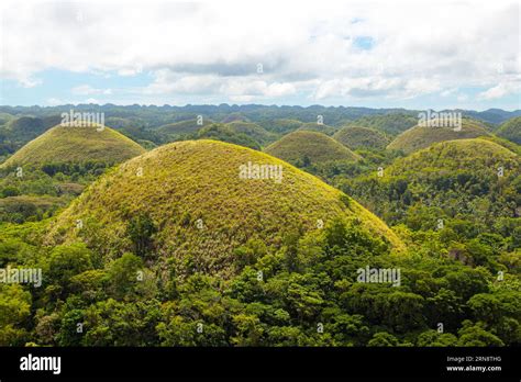 Famous Chocolate Hills Aerial Drone View Bohol Island Philippines