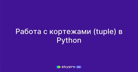 Работа с кортежами Tuple в Python