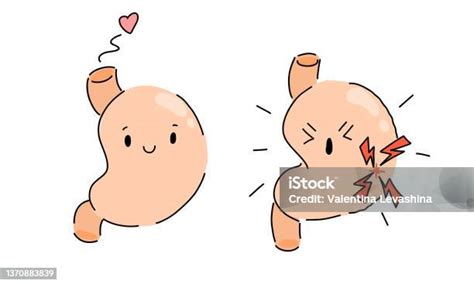 위 건강하고 병든 복통 만화 내부 기관 위염과 염증 가슴 앓이 부적절한식이 요법 산 감염 흰색 배경에 고립 된 스톡 벡터 일러스트레이션 귀여운에 대한 스톡 벡터 아트 및