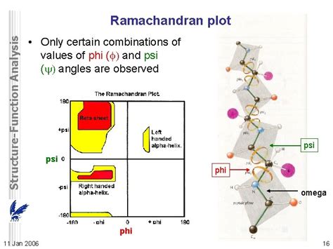 Structurefunction Analysis Dnaprotein Structurefunction Analysis And