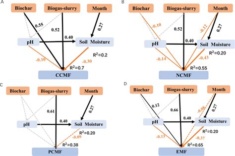 structural equation models sem depicting the direct and indirect