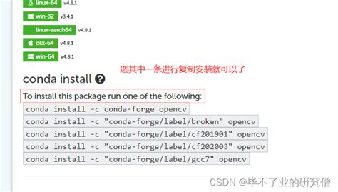 树莓派3b Raspberry Pi Os系统 安装conda环境、pytorch及opencvraspberry Conda Csdn博客