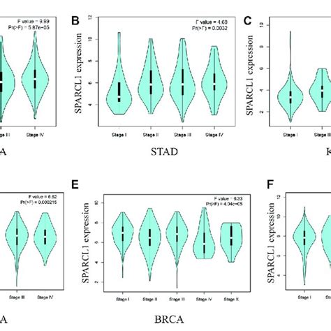 a c the expression level of sparcl1 elevated as the pathological