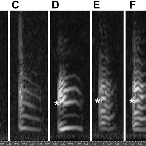 Spectrograms Illustrating Six Different Call Frequency Modulation