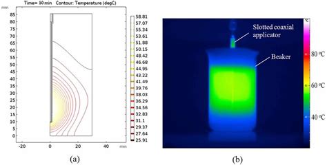 A Simulated Axisymmetric Distribution Of Temperatures In A Download Scientific Diagram