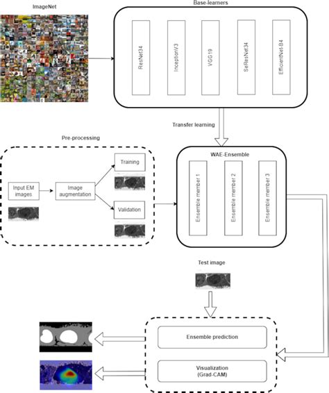 schematic architecture of the proposed ensemble based semantic