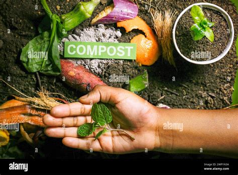Making Composting Women Hanging Small Plant Stock Photo Alamy