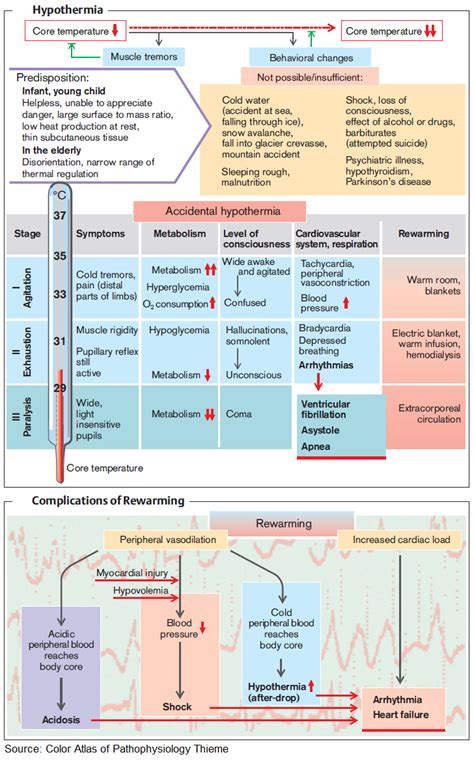 Hypothermia Manual Of Medicine