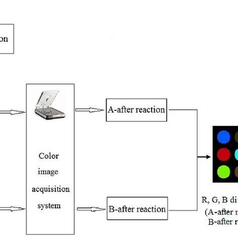 schematic diagram of the colorimetric sensor array system for heavy