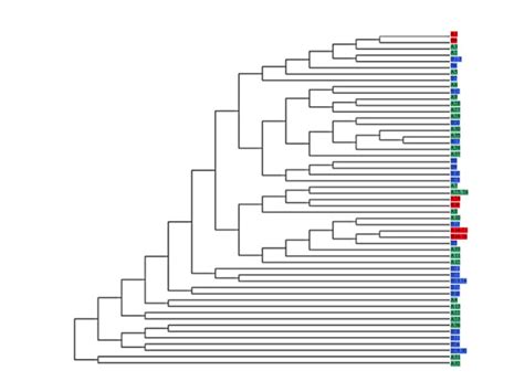 Unrooted Tree Obtained After Hierarchical Classification By A Download Scientific Diagram