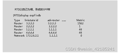 ospf网络拓扑和lsdb有向图简述 ospf lsdb csdn博客