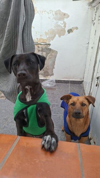 La Cruzada De Vecinos Detrás Del Caso De Un Joven Que Vivía En La Calle