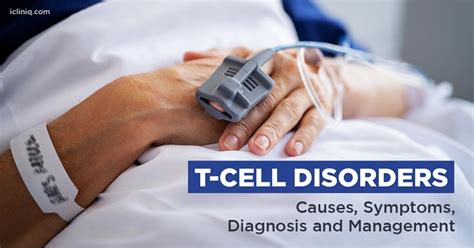 What Are T Cell And Its Disorders