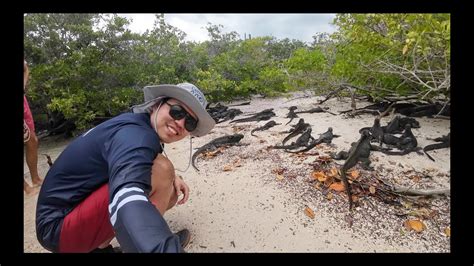 갈라파고스 여행 Part 2 Youtube