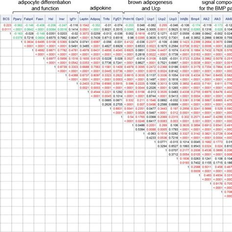 Relative Gene Expression In All Samples Gene Expression Levels Were Download Scientific