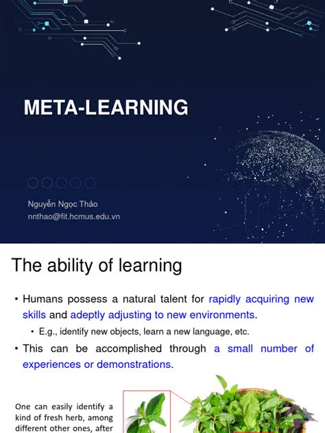 2024 Mth058 Lecture09 Meta Learning Download Free Pdf Learning