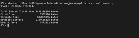 Oracle【容灾篇】02：oracle19c Adg 搭建步骤oracle Adg Csdn博客