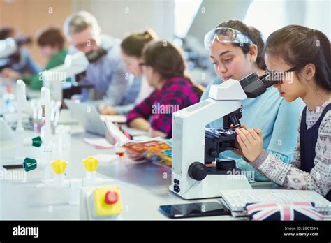 Girl Students Using Microscope Conducting Scientific Experiment In