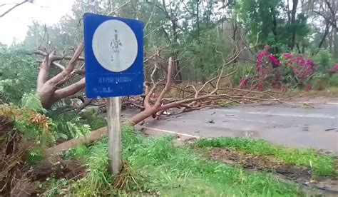 ในประเทศ พายุฤดูร้อนโหมกระหน่ำพัดเสาไฟฟ้าต้นไม้ใหญ่หักโค่นหวิดทับบ้านปชช ชาวสีคิ้ว