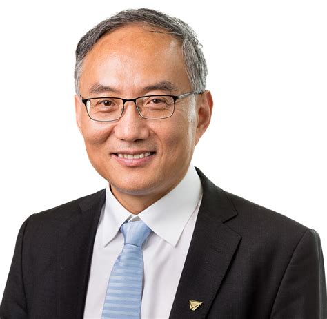 Scientia Professor Chun Wang