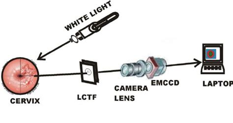 Schematic Of Multi Spectral Diffuse Reflectance Imaging System For Download Scientific Diagram