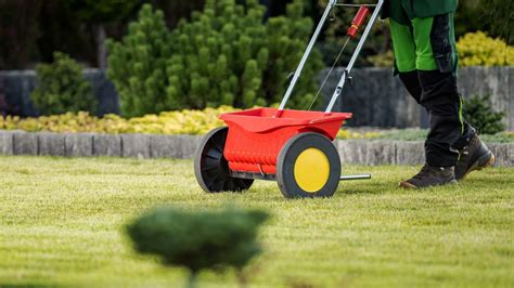 How To Reseed Lawn In Fall Step By Step Guide For A Healthier Yard
