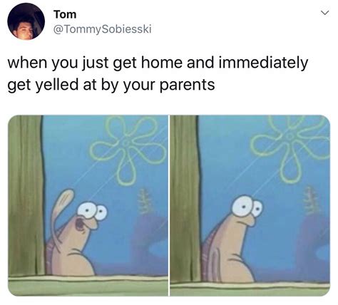 Me Irl R Bikinibottomtwitter