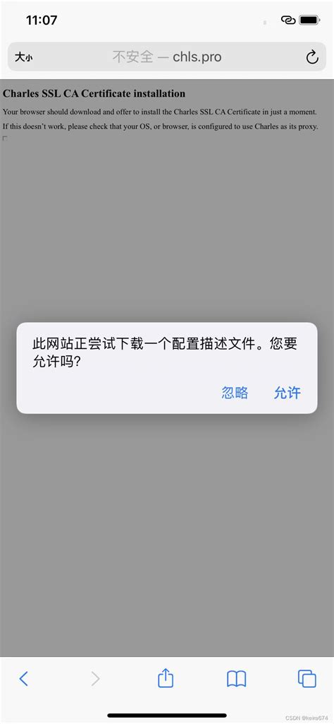【charles】成功解决使用ios手机抓包时，ios手机连接网络失败andcharles配置方法 charles手机抓包 手机无网络 csdn博客