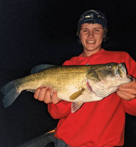 Topwater Bass Fishing Everything You Need To Know