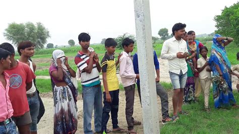 Python Eats Alligator 02 Time Lapse Speed X6 Youtube