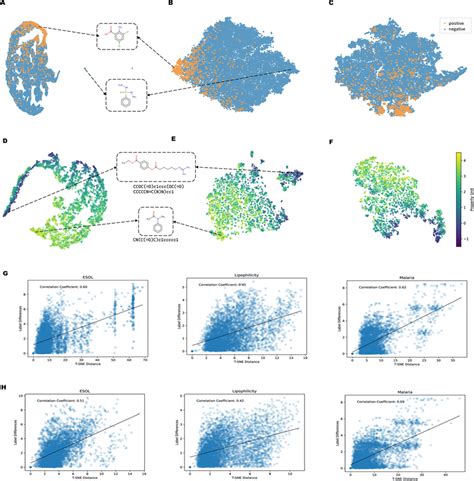 Investigations On Molecular Representation Based On T Sne Analysis A