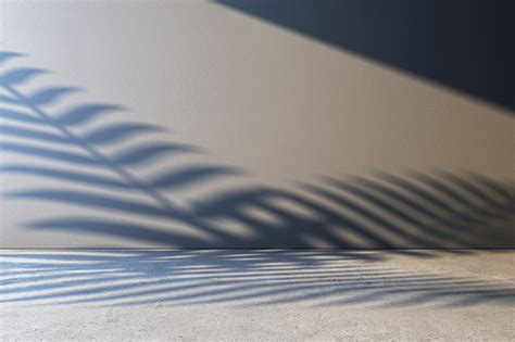 깨끗한 벽과 바닥에 야자수 잎 그림자가 있는 현대적인 콘크리트 방 내부의 추상적인 모습 3d 렌더링 0명에 대한 스톡 사진 및 기타 이미지 Istock