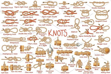 Rope Knots Set Vector Illustration By Ann Zabella On Creativemarket