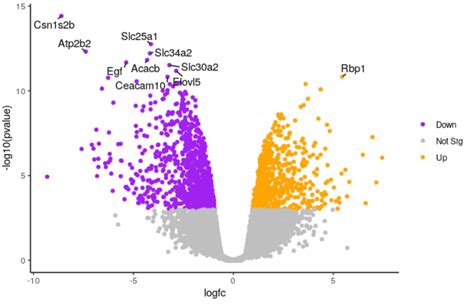 Hands On Visualization Of Rna Seq Results With Volcano Plot In R Visualization Of Rna Seq