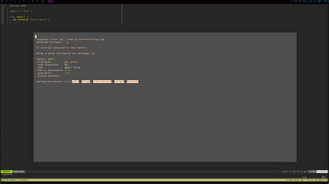 Neovim LSP With Go Vi And Vim Stack Exchange
