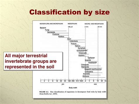 Ppt The Baltimore Ecosystem Study And Soil Research Part 2 Powerpoint Presentation Id438662 Ppt The Baltimore Ecosystem Study And Soil Research Part 2 Powerpoint Presentation Id438662