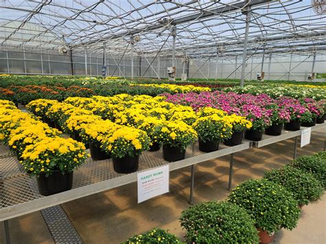 Green Valley Growers