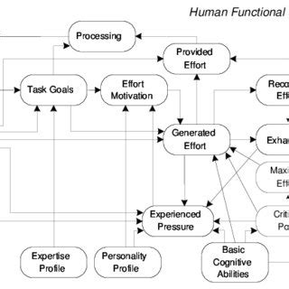 Functional State Domain Model Download Scientific Diagram