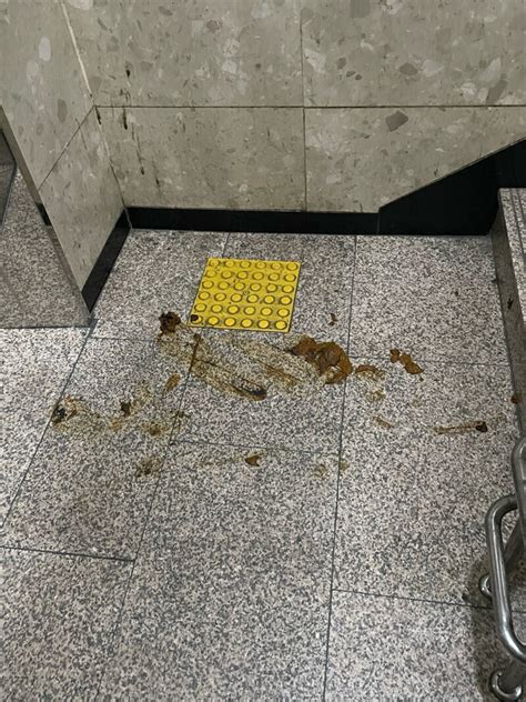 메이플스토리 인벤 기숙사 똥테러 메이플스토리 인벤 자유게시판