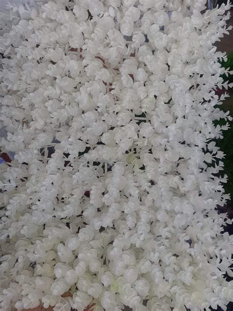 گرین وال مصنوعی شمشاد سفید هزاره سبز