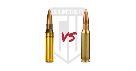 243 Vs 308 Which Hunting Round Is Best For You Gun University